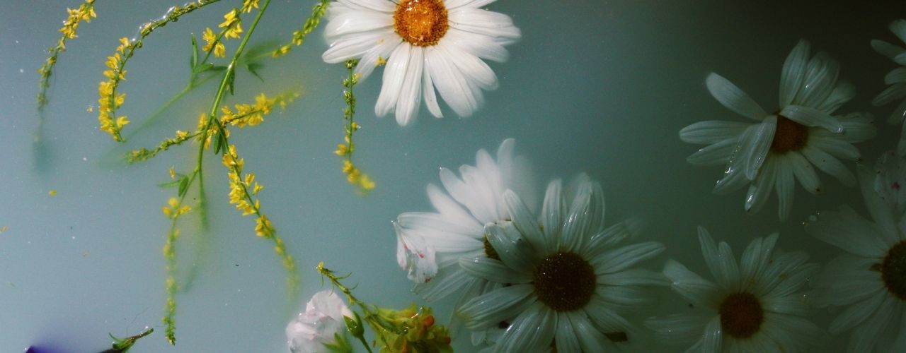 August Full Moon Ritual Kit – CEDAR AND MYRRH